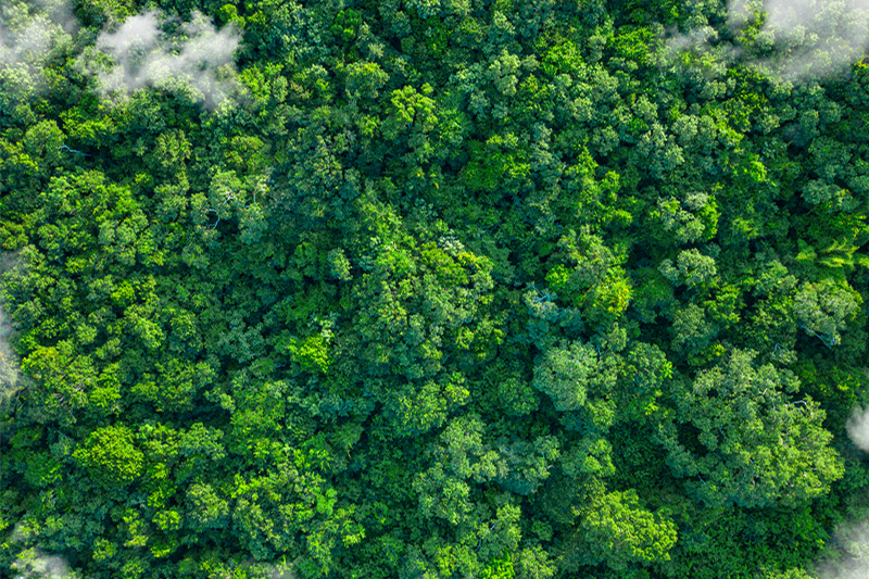 Sustainability That Performs: GEA’s Pharma Impact | gea.com
