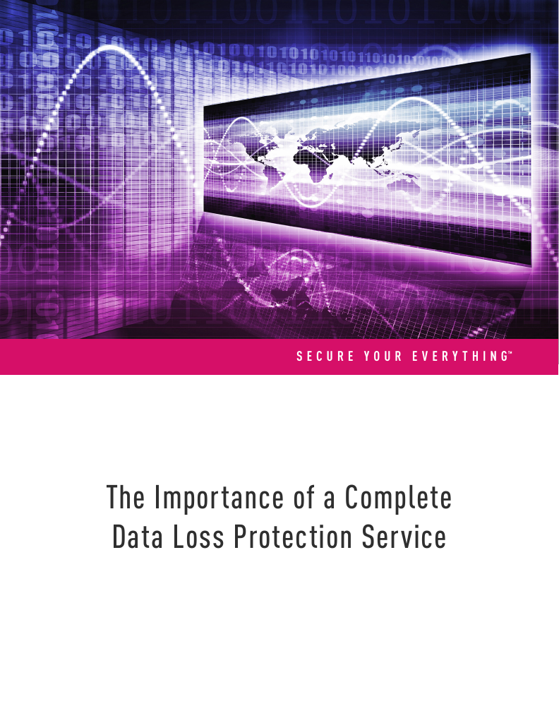 Report | The Importance of a Complete DLP Service | Check Point Software Report | The Importance of a Complete DLP Service | Check Point Software
