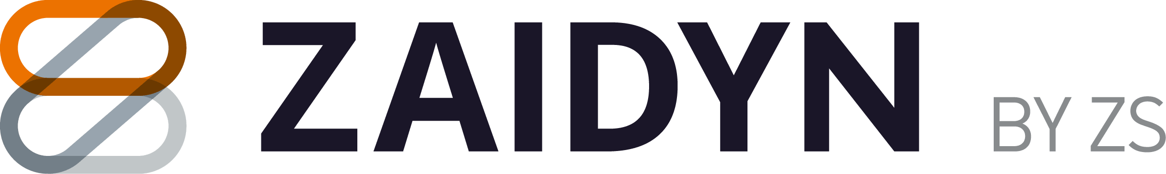 ZAIDYN Brochure | zs.com