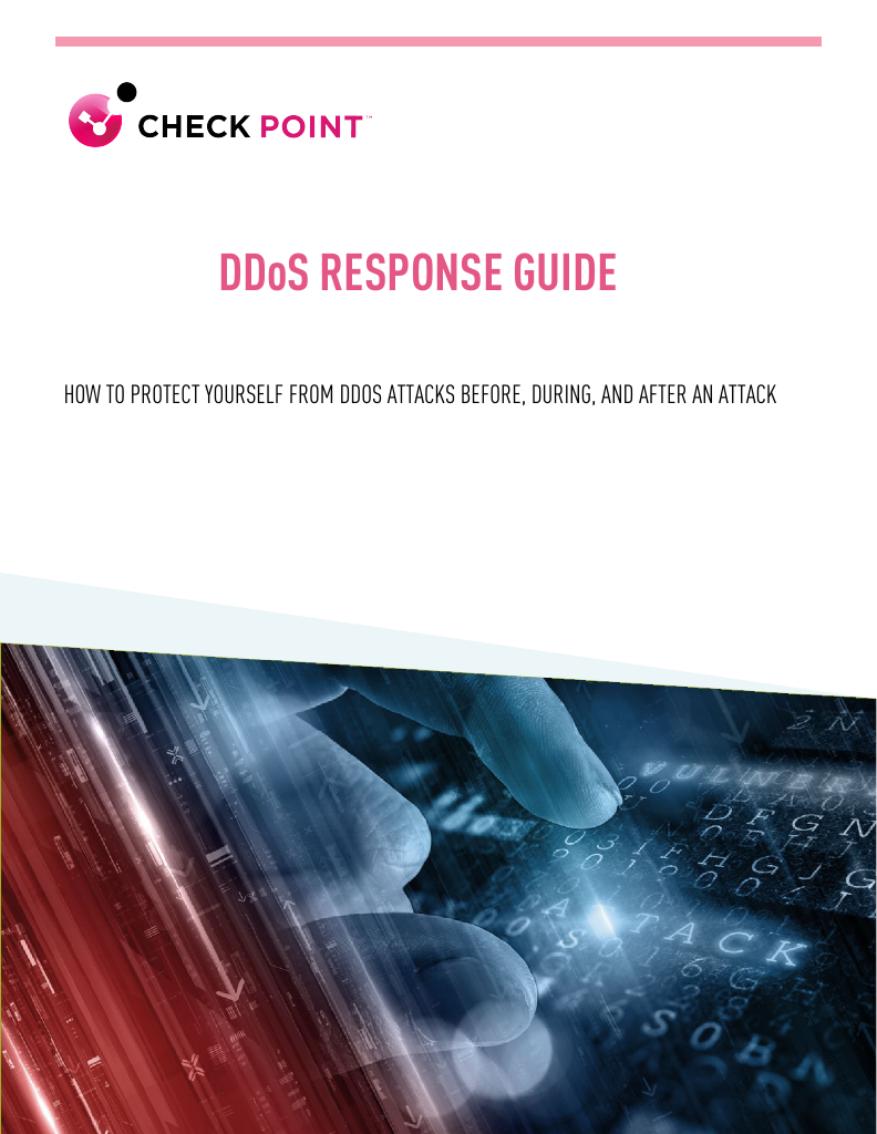 Guide | DDoS Response | Check Point Software