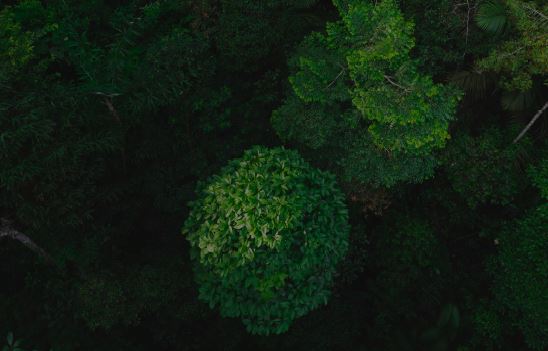 Report | Autodesk Sustainability | Autodesk Report | Autodesk Sustainability | Autodesk