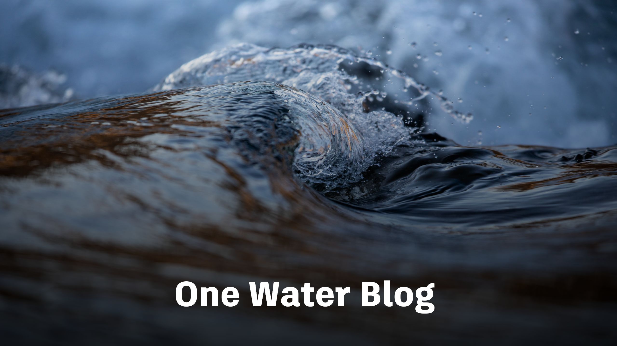 One Water Blog | Autodesk