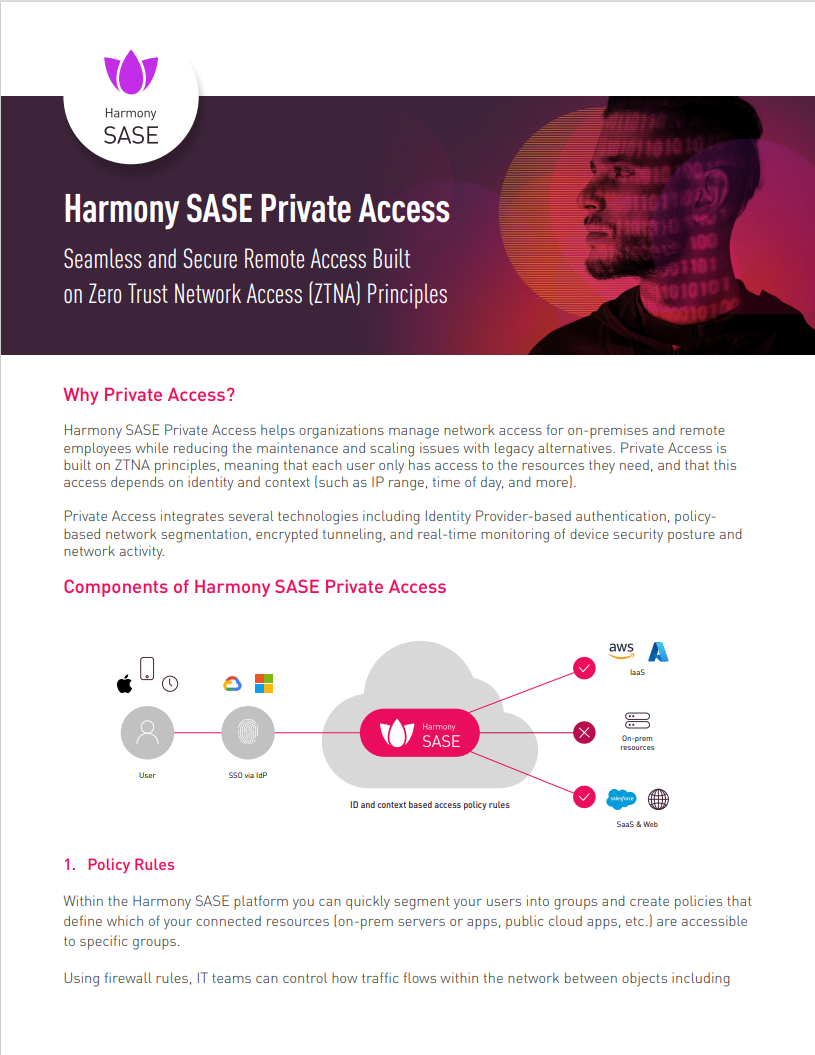 Datasheet | Harmony SASE Private Access | Check Point Software